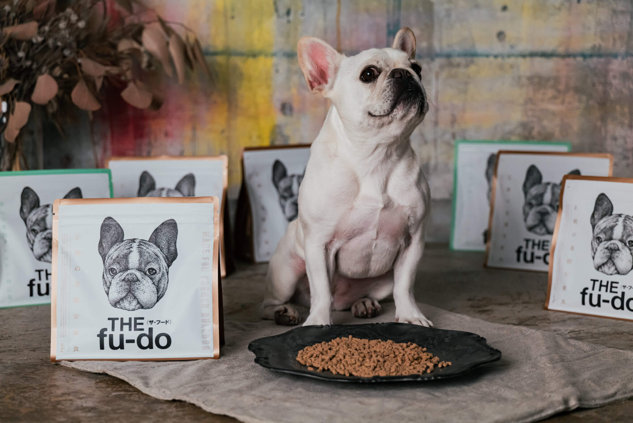 フレンチブルドッグは平均寿命を伸ばすポテンシャルがある。『THE fu-do(ザ・フード)』を食べ続けた未来 | 長寿コラム | THE fu ...