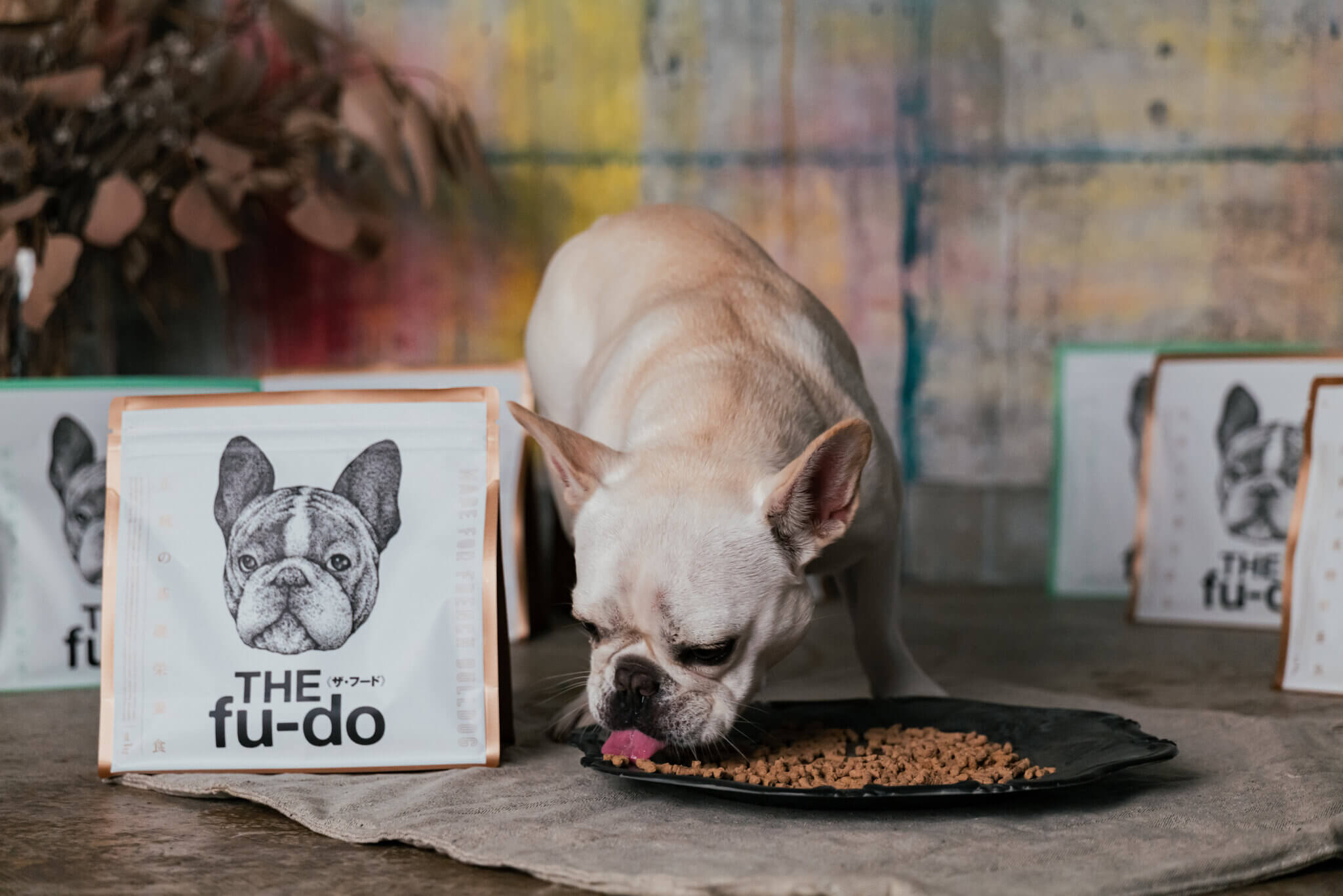 フレンチブルドッグ向けの独自製法とは？ほんとうの安心食材で作られた『THE fu-do(ザ・フード)』 | 長寿コラム | THE fu-do ...